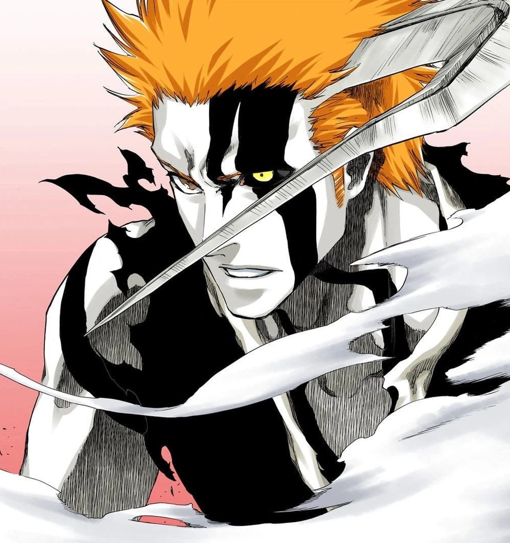 Ichigo Kurosaki – Manybooks