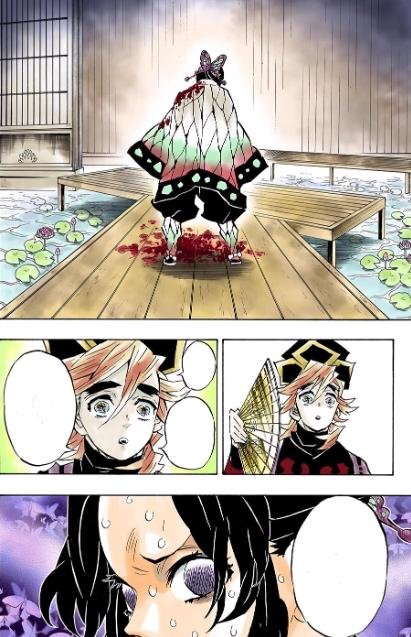 Shinobu Kocho – Kimetsu No Yaiba – Manybooks