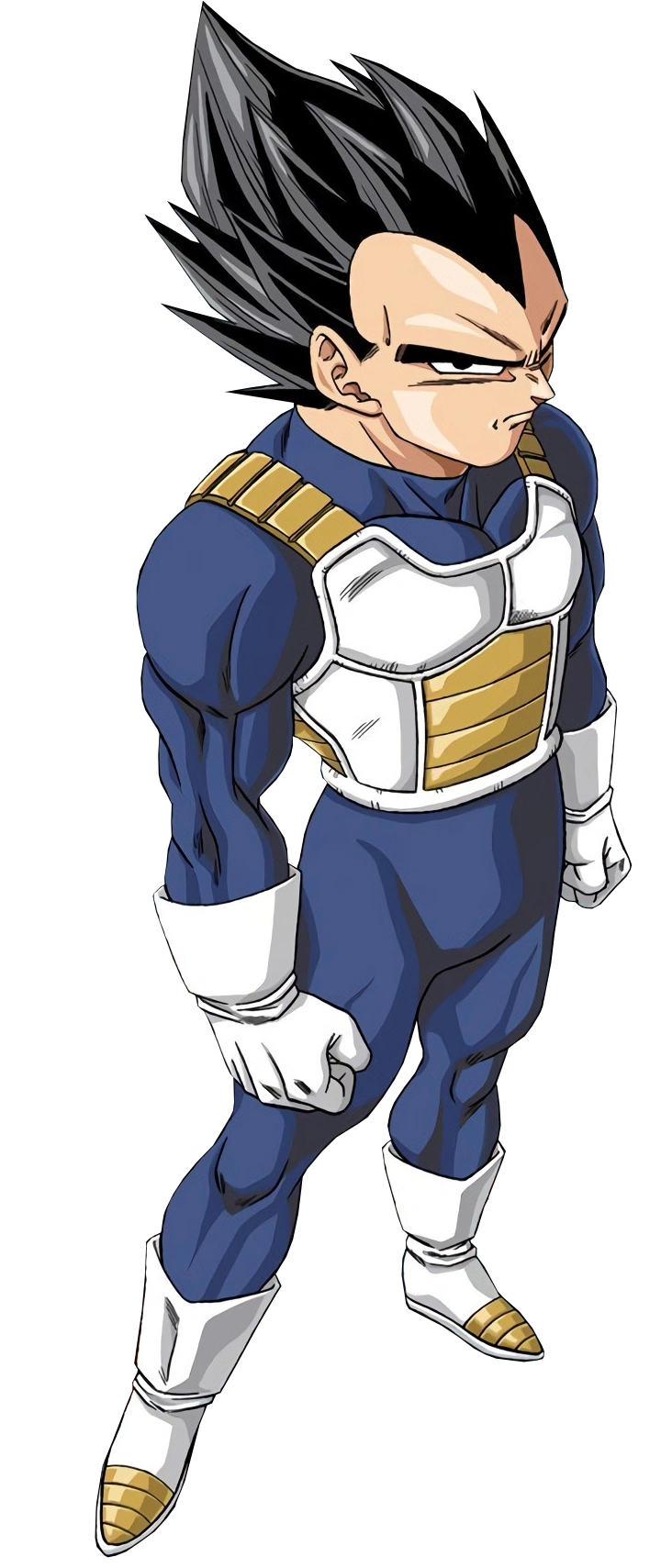 Vegeta – Manybooks