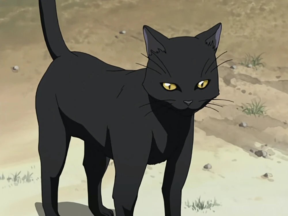 Yoruichi Shihōin – Manybooks