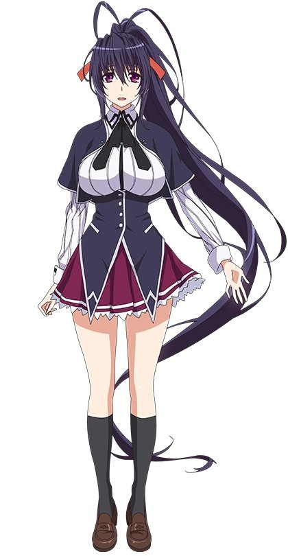 Akeno Himejima – Manybooks